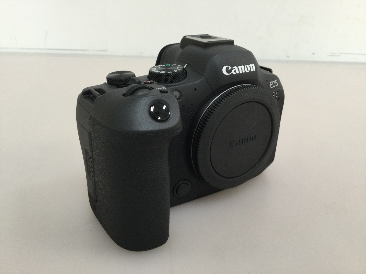 Canon EOS R6 Mark II Mirrorless Camera - auction